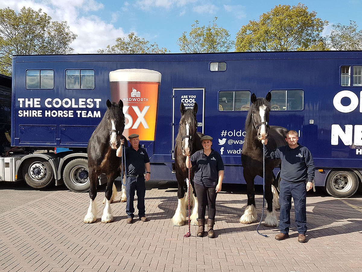 WELCOMING OUR NEW SHIRE HORSE SAM - Wadworth